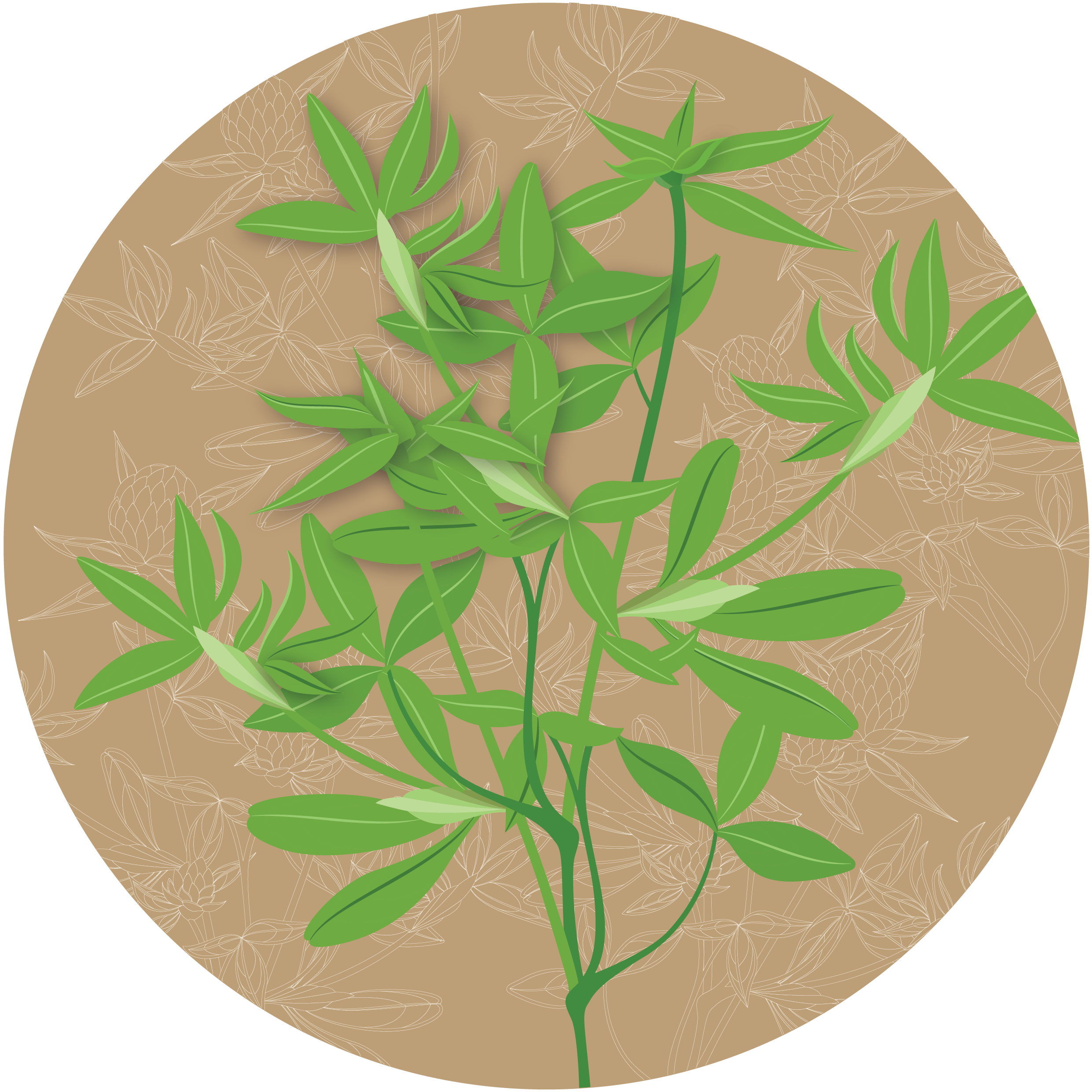 Fastart Multicut Berseem – Kern Seedtech Pvt. Ltd.