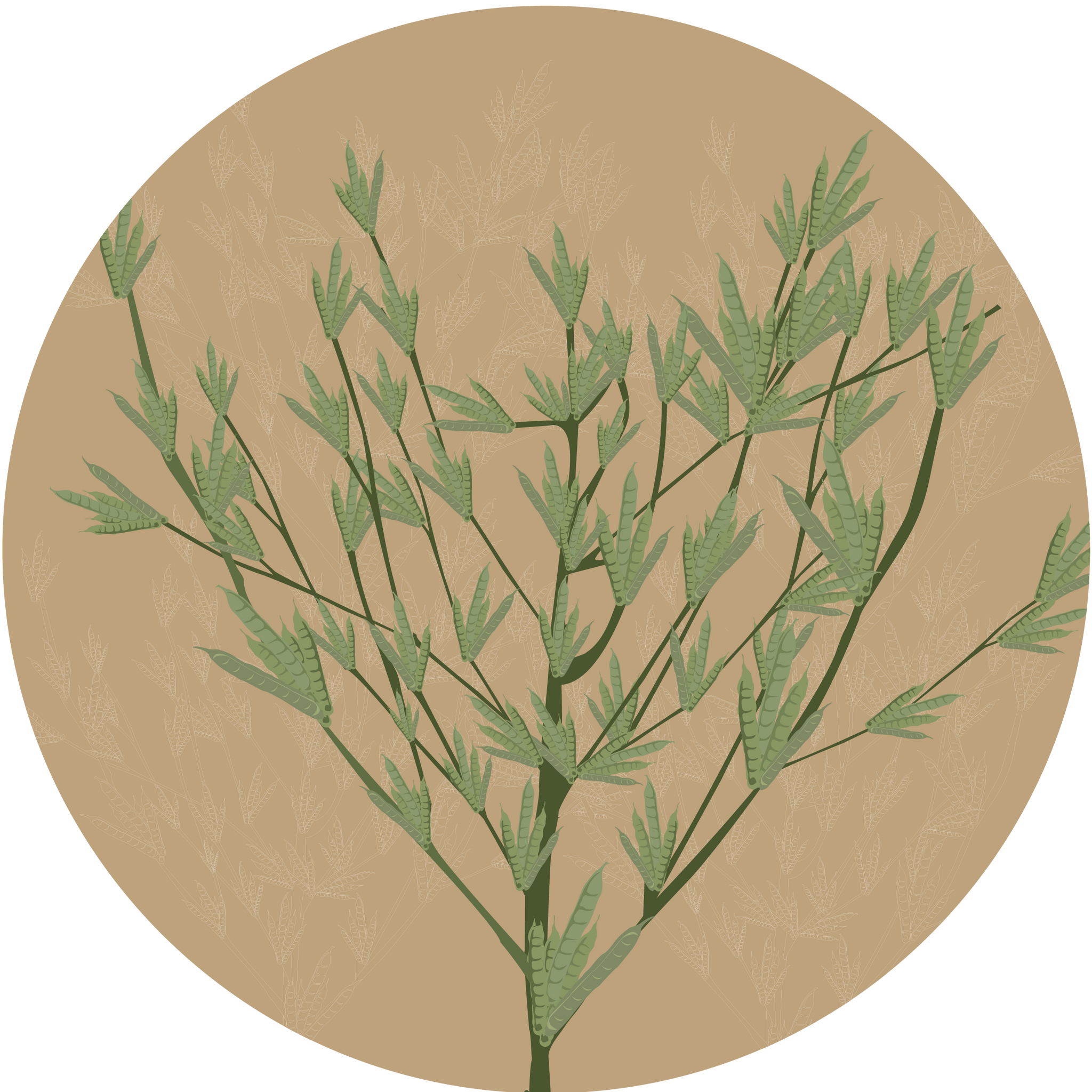 Kern 737 Guar – Kern Seedtech Pvt. Ltd.